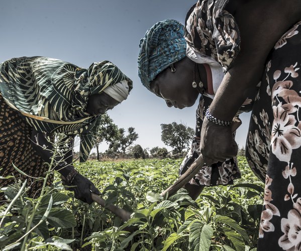 Oxfam Business Advisory Service | The Oxfam Business Advisory Service